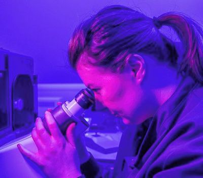 Medicines Discovery Catapult helps UK scientists deploy more predictive ...