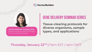 VectorBuilder Gene Delivery Seminar: Cristina Martinez Gonzalez